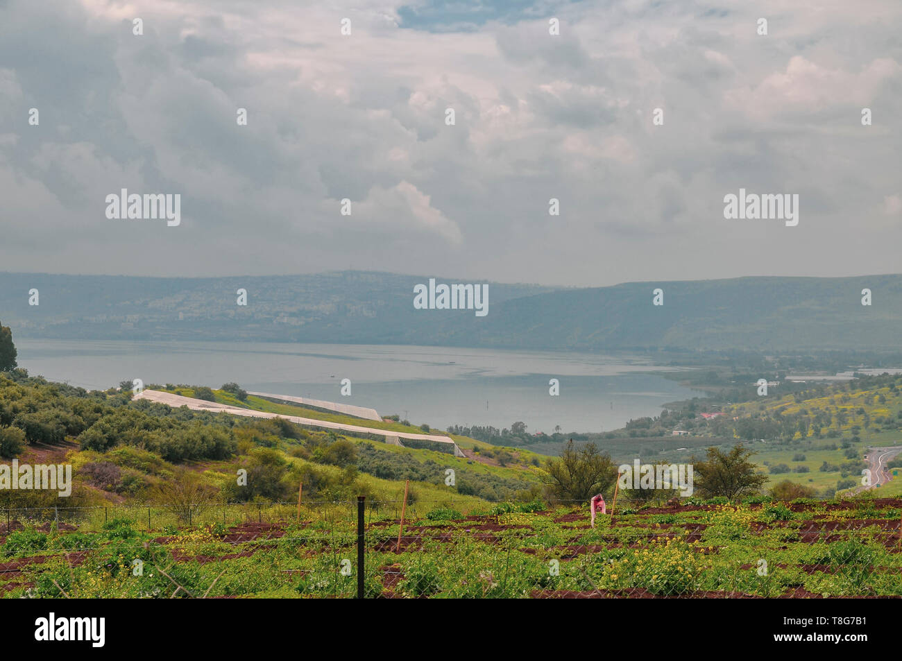 Israel, lower Galilee landscape, Overlooking the sea of Galilee ...