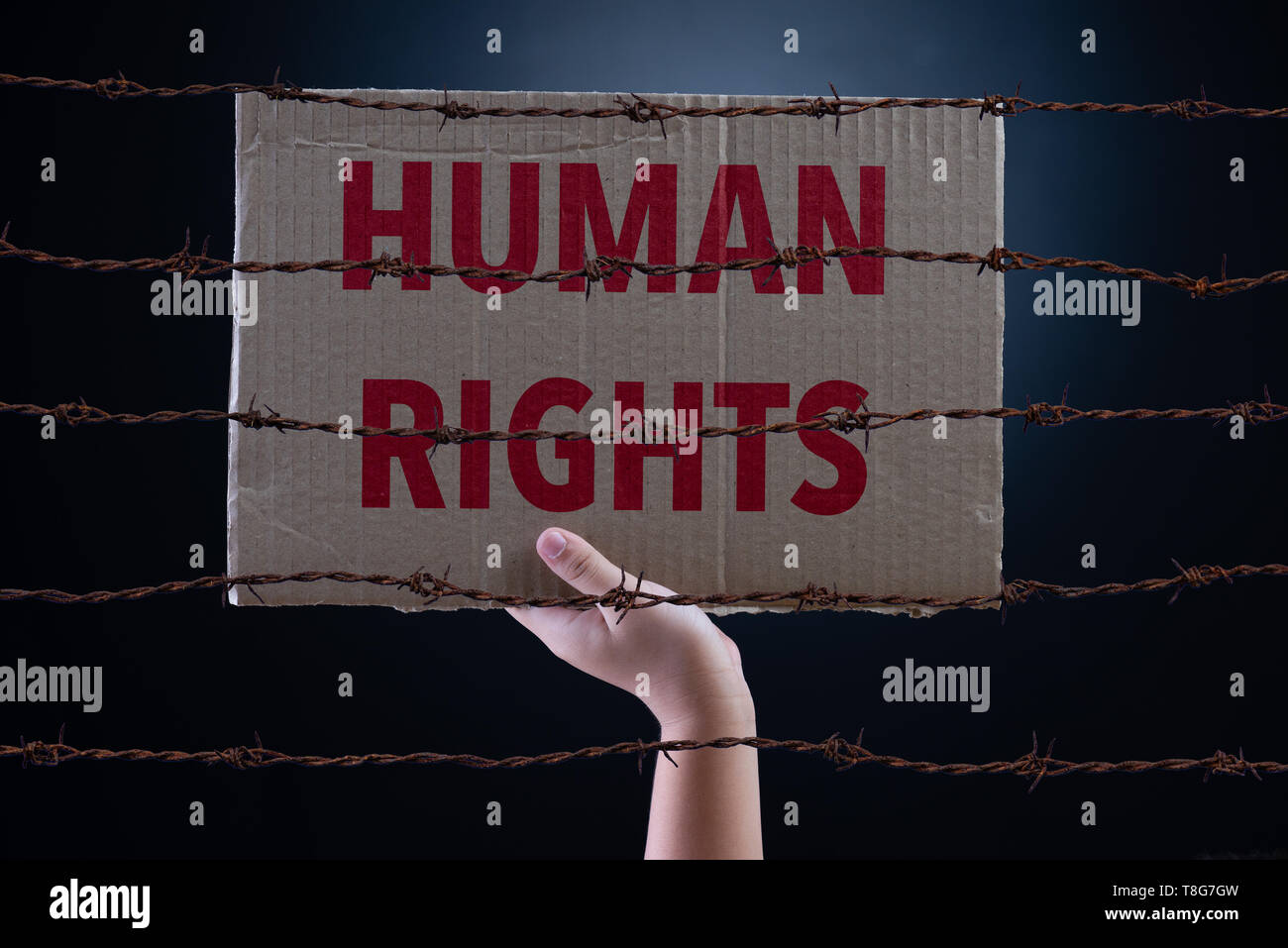 Kid hand holding cardboard paper with HUMAN RIGHTS text and rusty sharp ...
