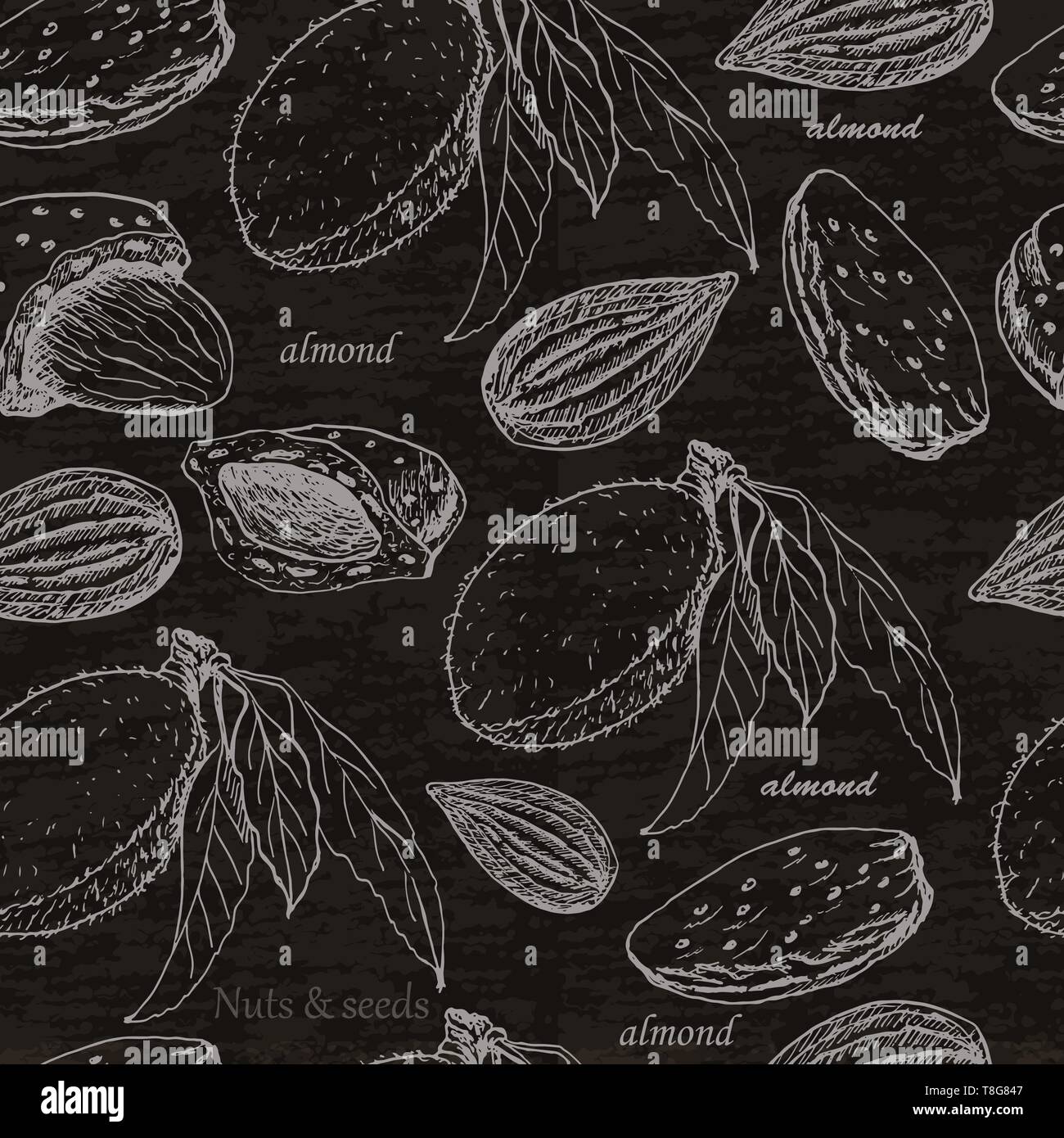 Seamless pattern with almonds on black background. Vector illustration ...