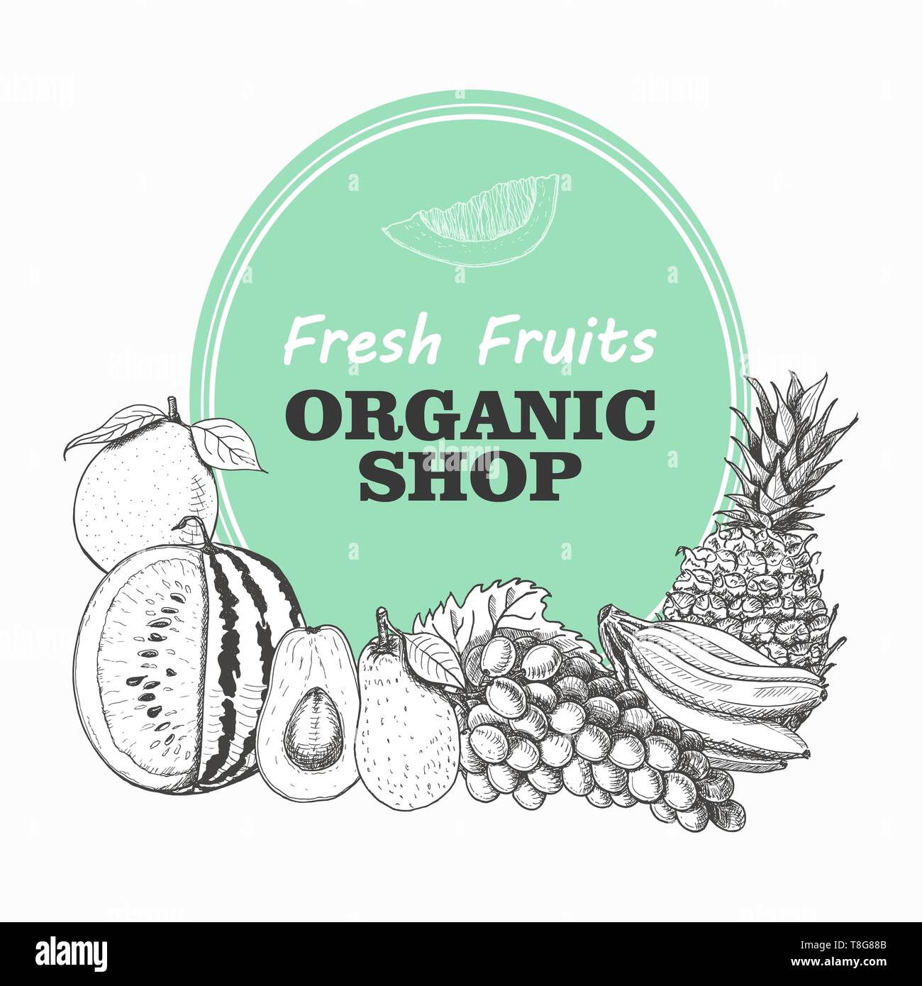 Vector background with fruits. Vector illustration for your design ...