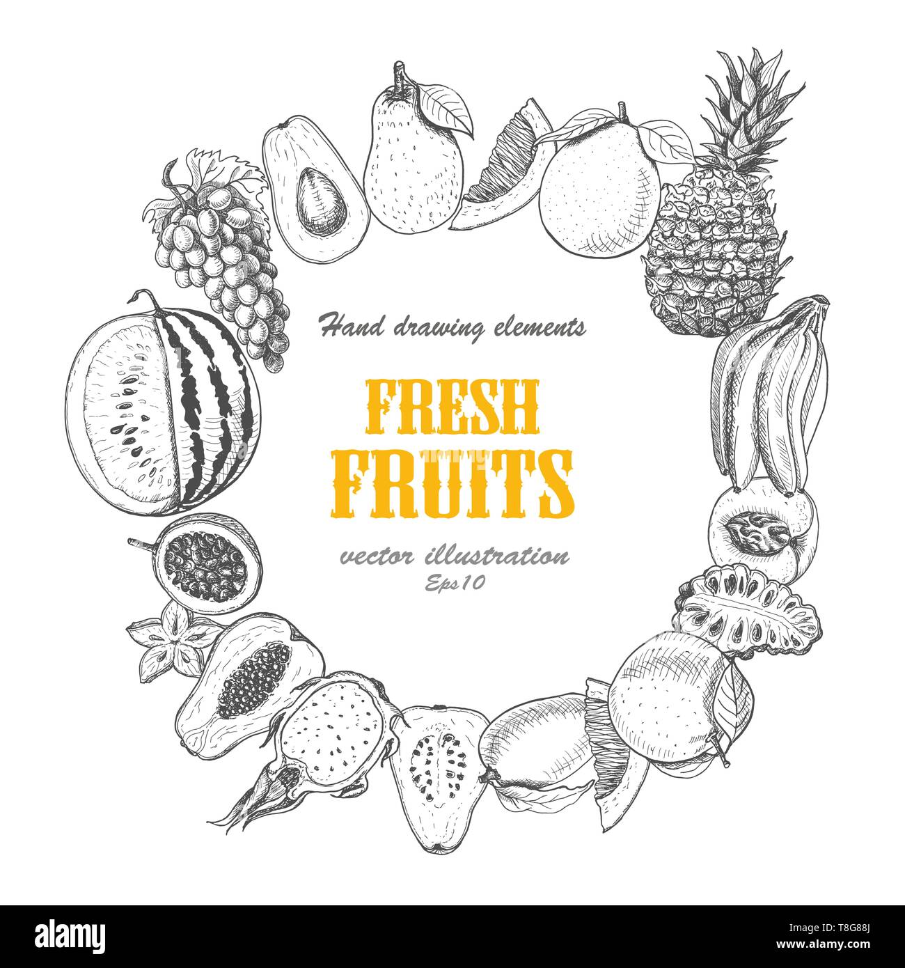 Vector round frame of fruits. Vector illustration for your design Stock ...