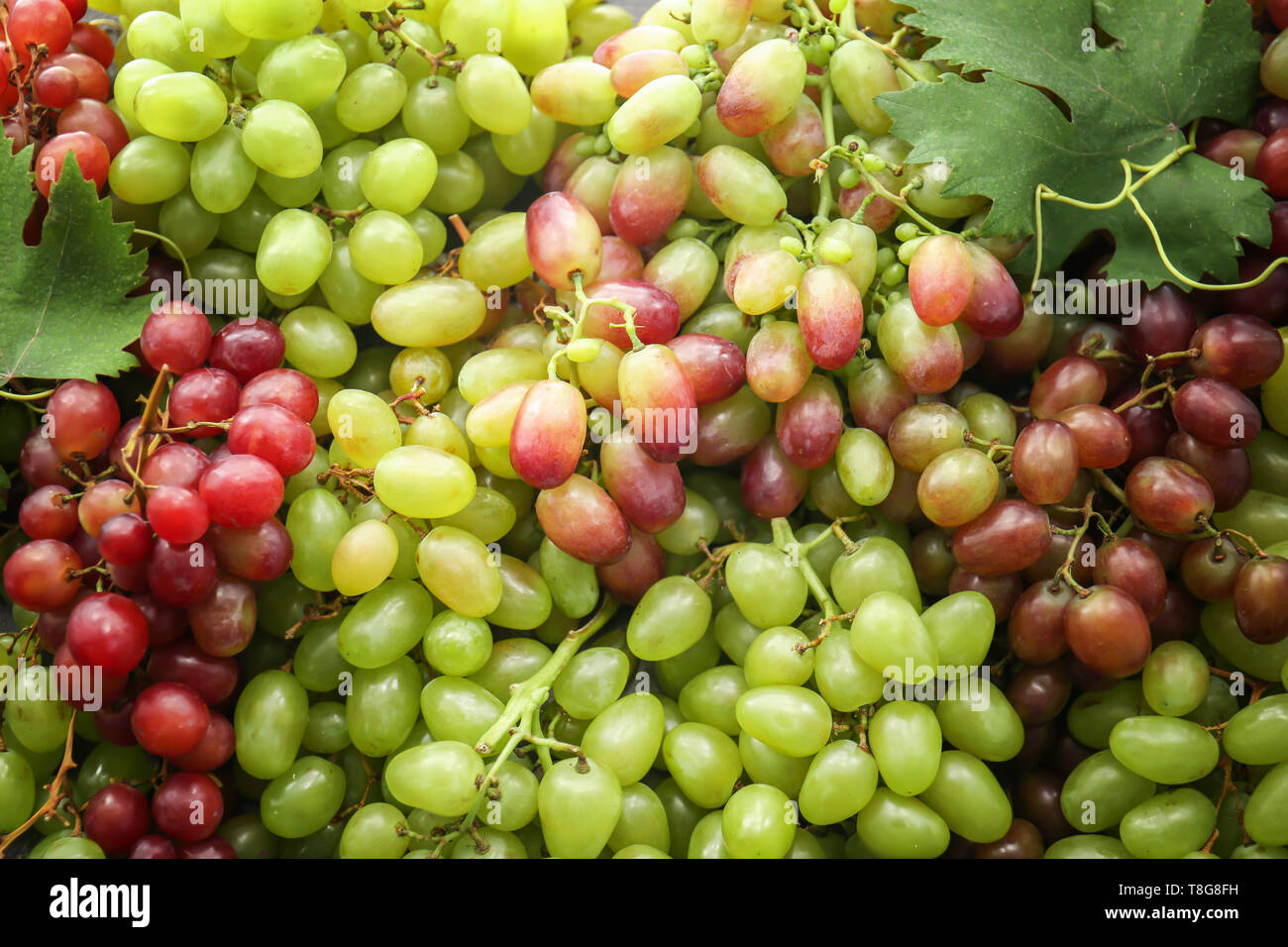 Fresh ripe grapes as background Stock Photo - Alamy