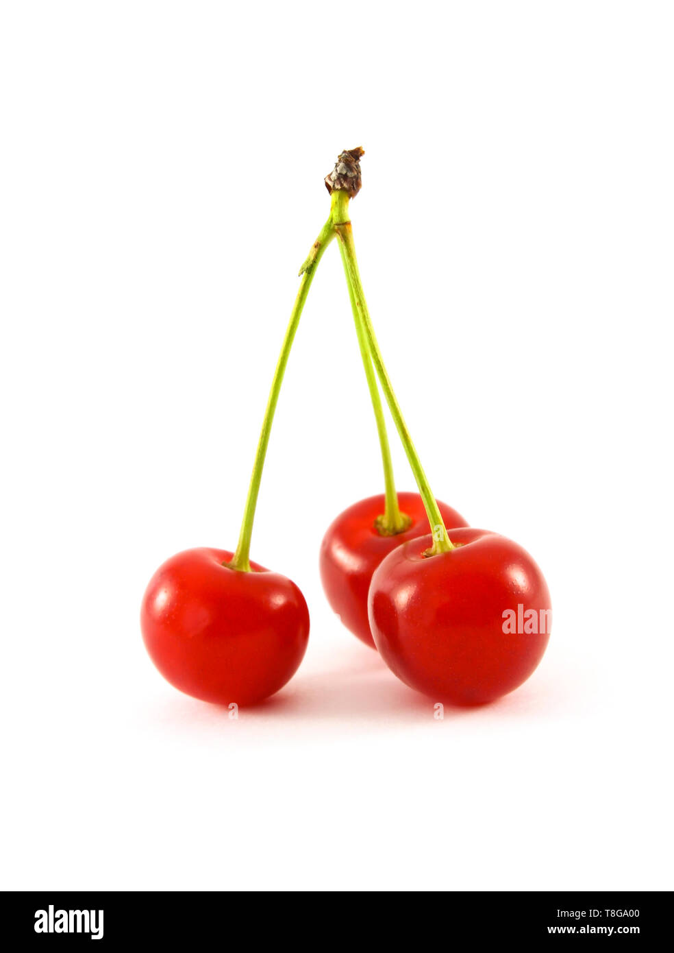 Cherry knot hi-res stock photography and images - Alamy