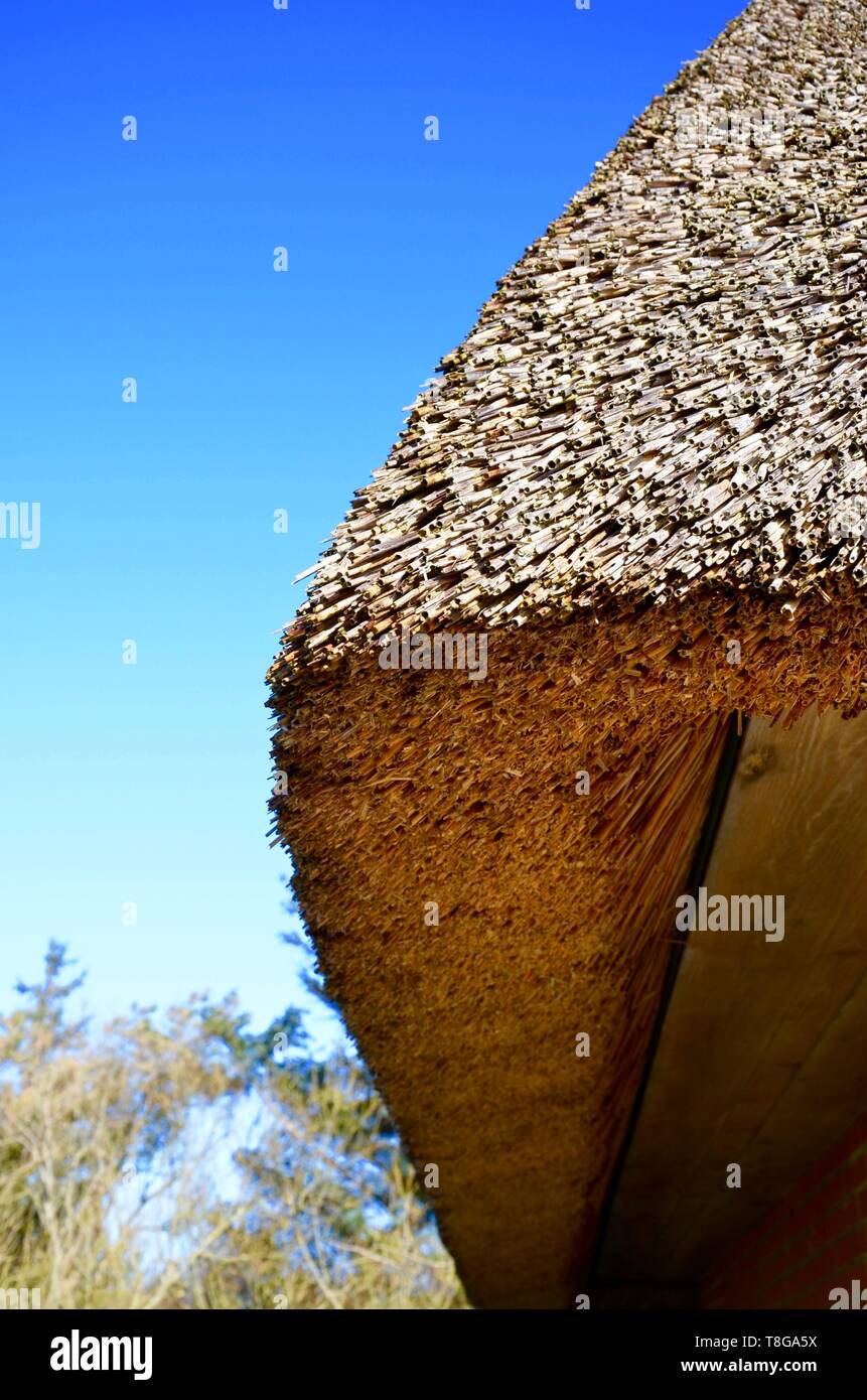 Insel sylt hi-res stock photography and images - Alamy