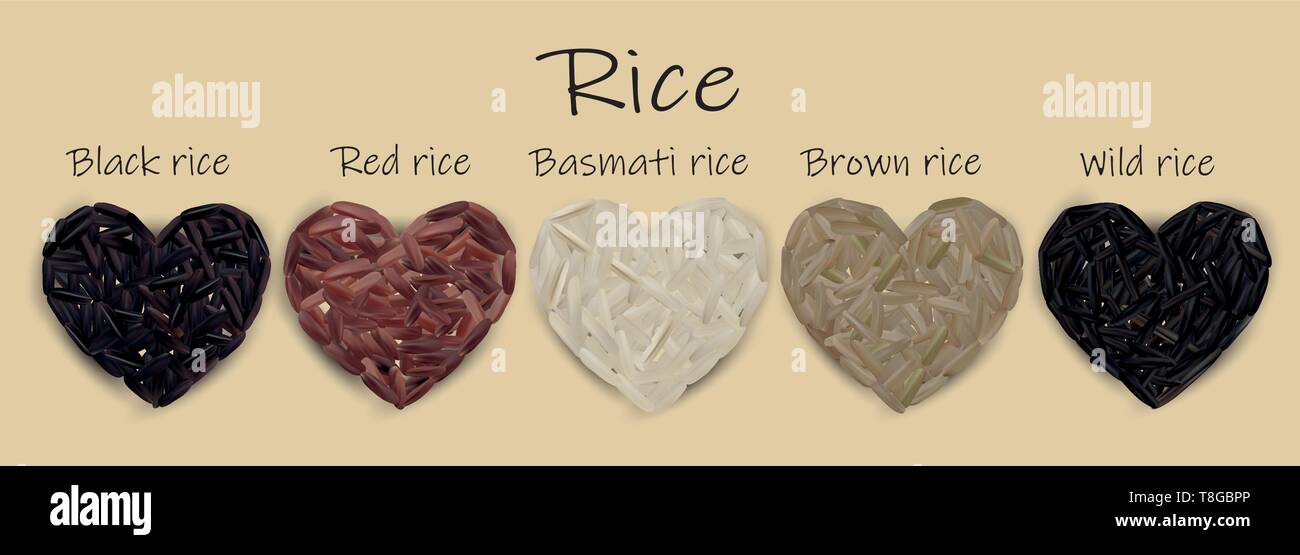 Rice set, black, red, basmati, brown, wild. Vector illustration ...