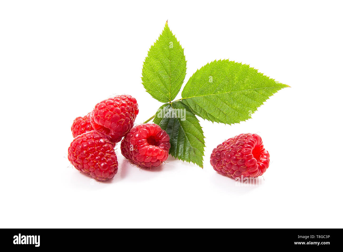 Close up view of fresh raspberries fruits with green leaf of raspberry ...