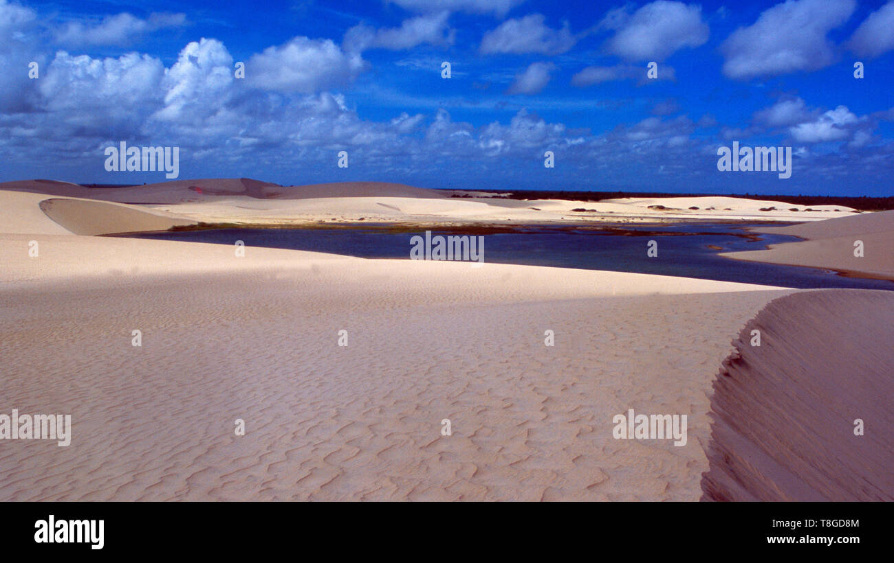 Brazil: The desert vegetation of the giant sand dunes around ...