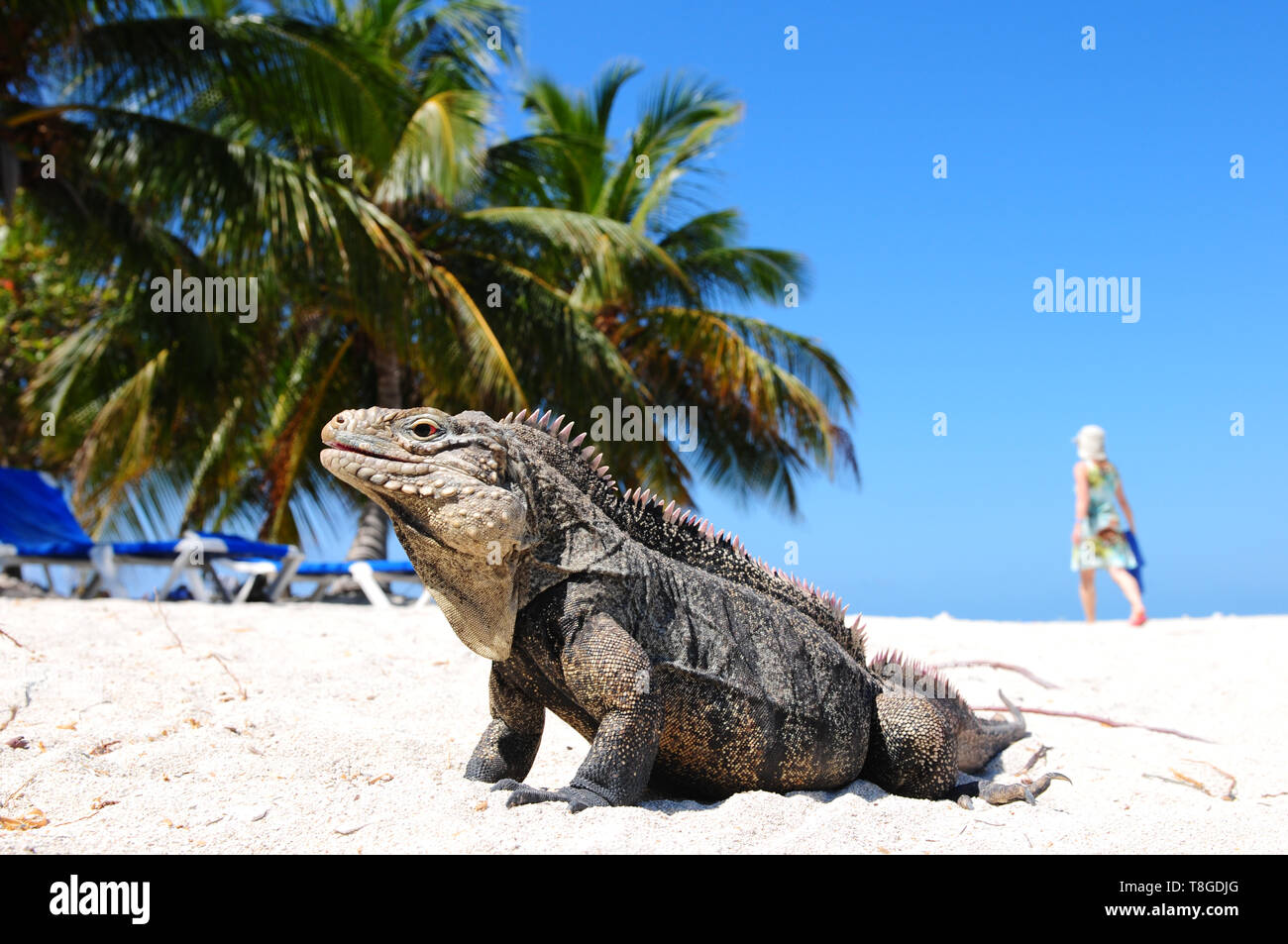 Machon hi-res stock photography and images - Alamy
