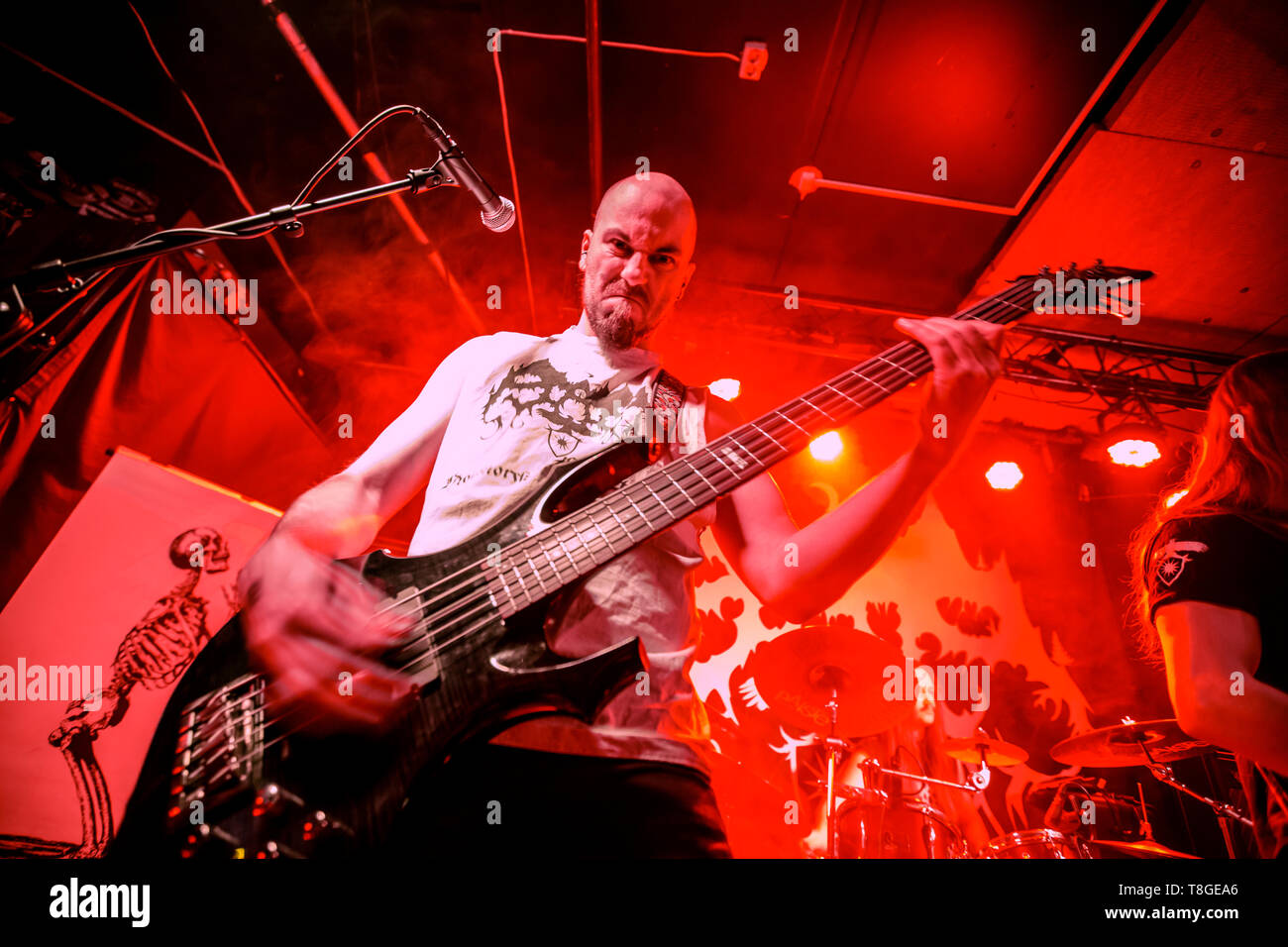 Skaur band hi-res stock photography and images - Alamy