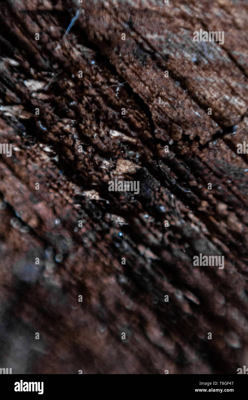 Different perspectives and angles of wood Stock Photo - Alamy