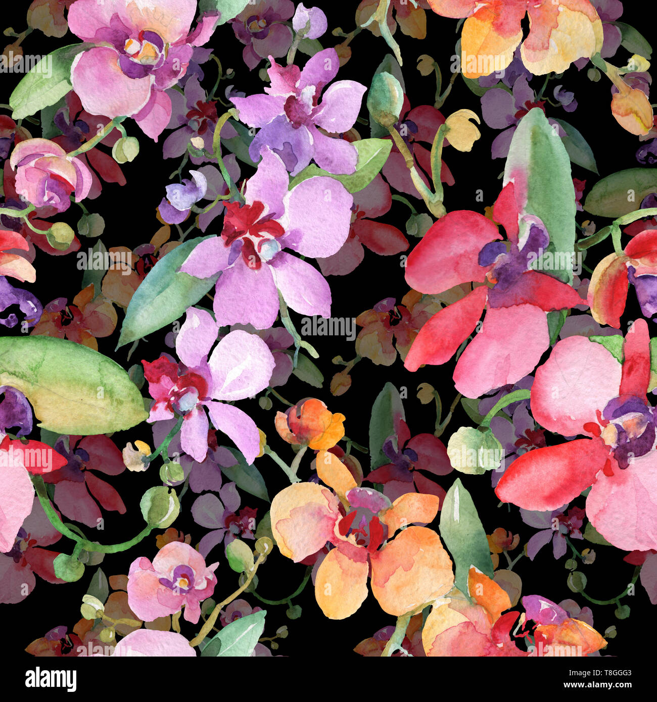 Orchid bouquets floral botanical flowers. Watercolor background ...