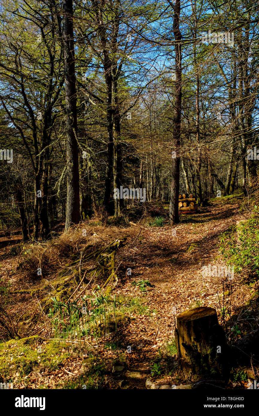 Strathdon Aberdeenshire High Resolution Stock Photography and Images ...