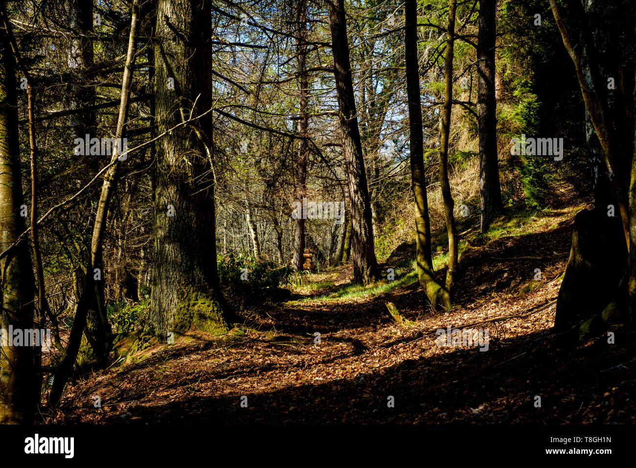 Strathdon Aberdeenshire High Resolution Stock Photography and Images ...