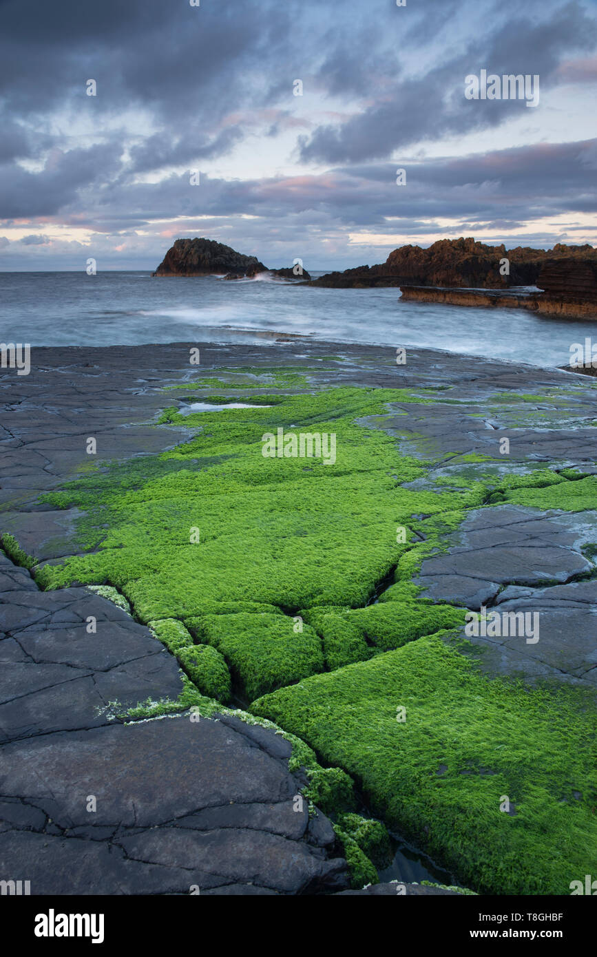 Scarlett Point, Isle of Man, UK Stock Photo - Alamy