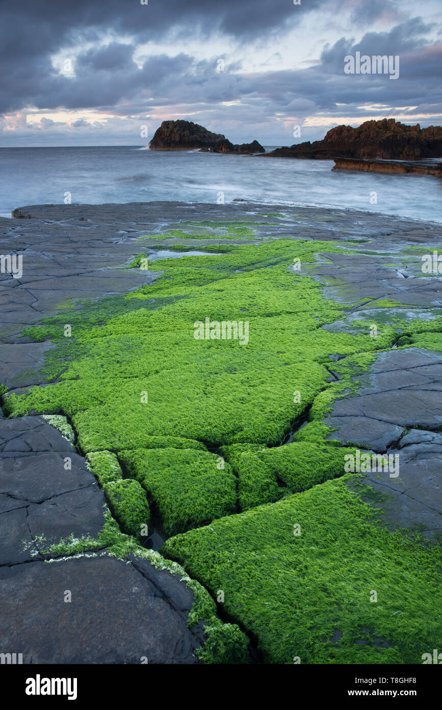 Scarlett Point, Isle of Man, UK Stock Photo - Alamy