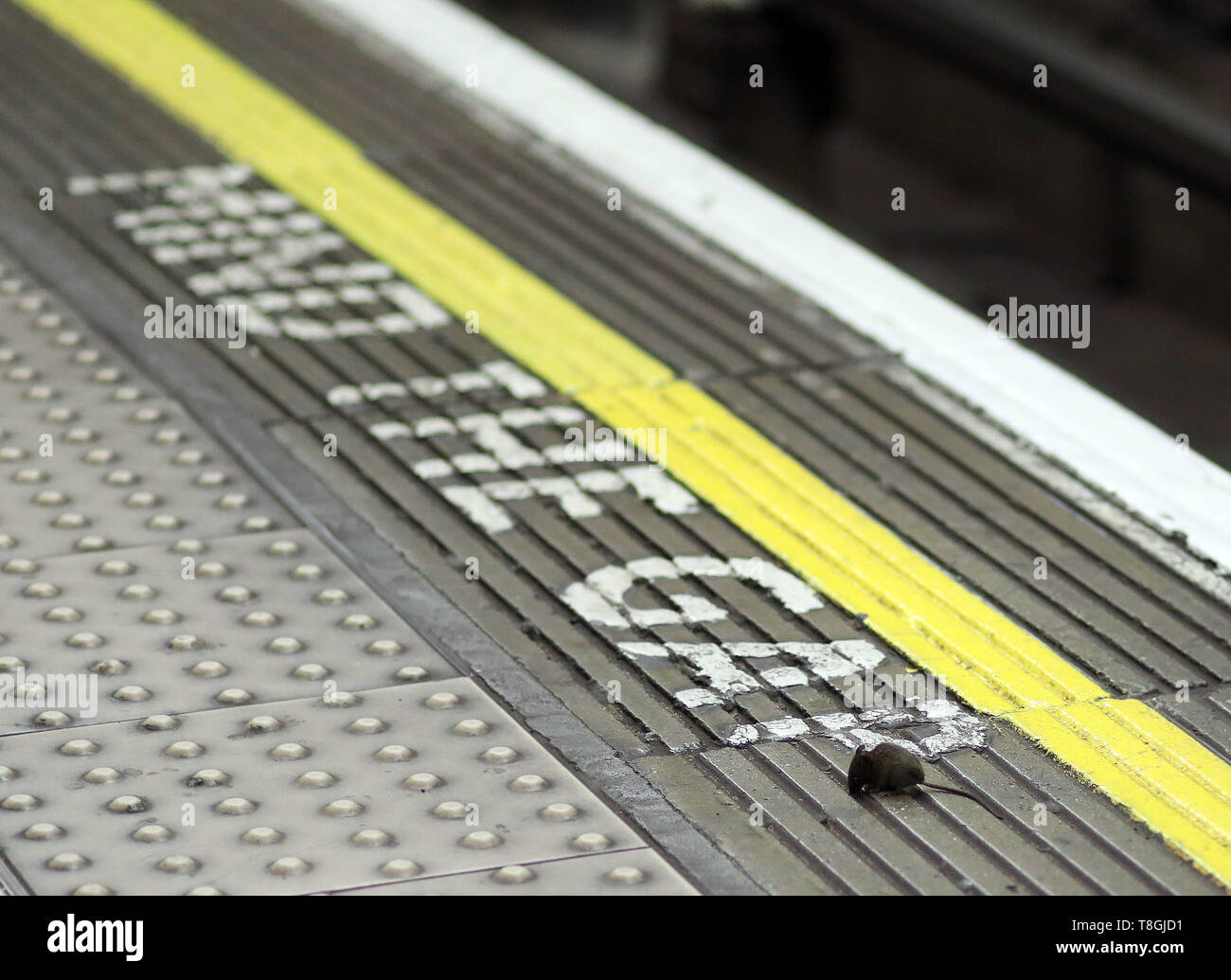 Mouse underground london tube hi-res stock photography and images - Alamy