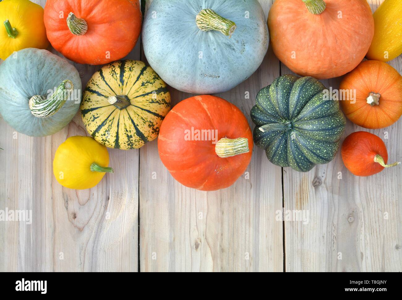 Autumn pumpkins background squashes hi-res stock photography and images ...