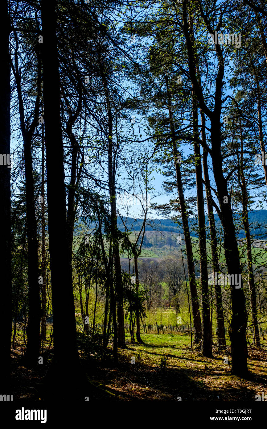 Strathdon aberdeenshire hi-res stock photography and images - Alamy