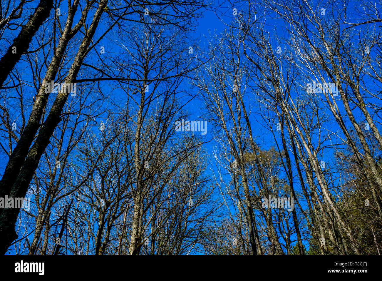 Strathdon aberdeenshire hi-res stock photography and images - Alamy