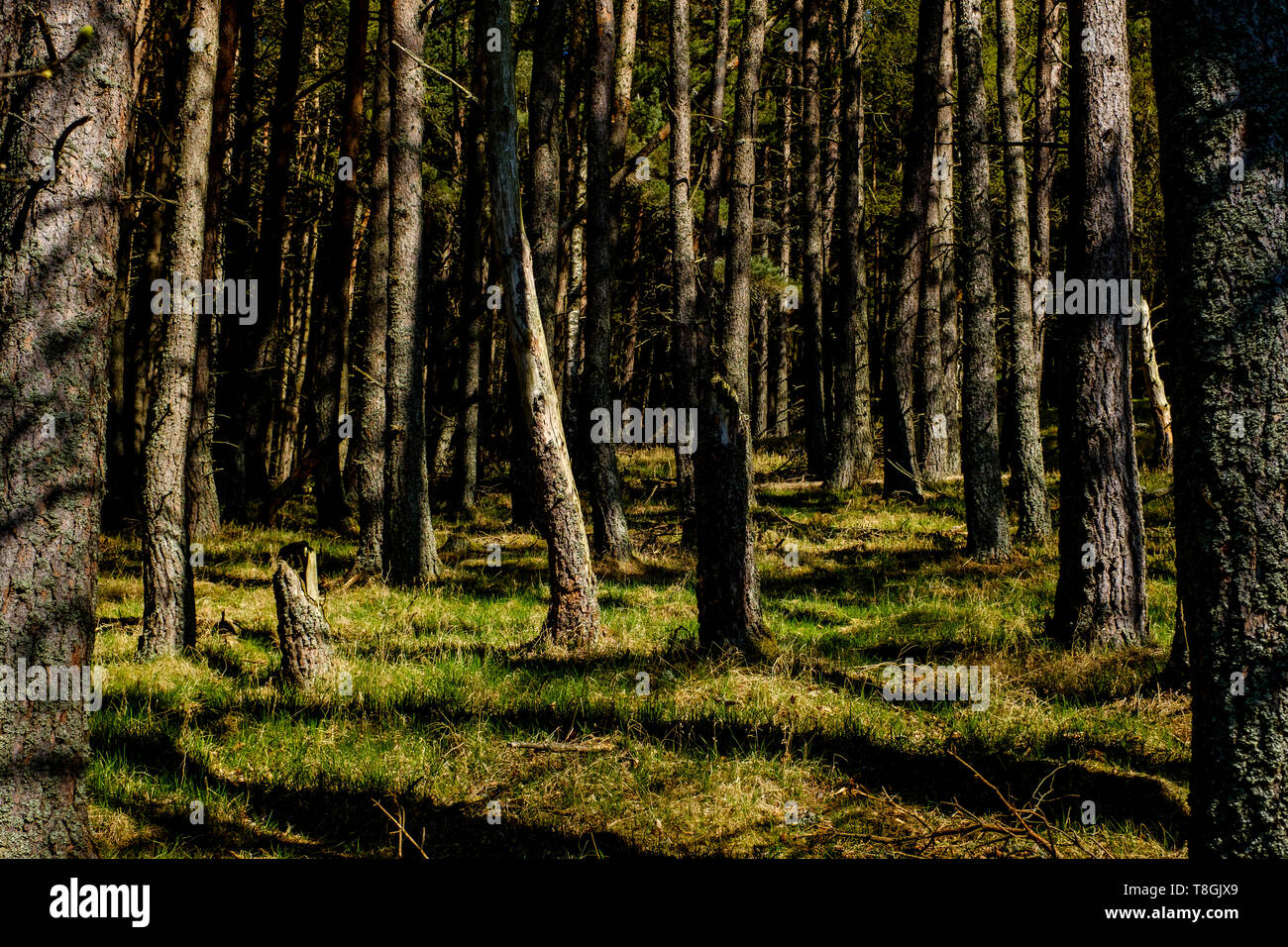 Strathdon aberdeenshire hi-res stock photography and images - Alamy