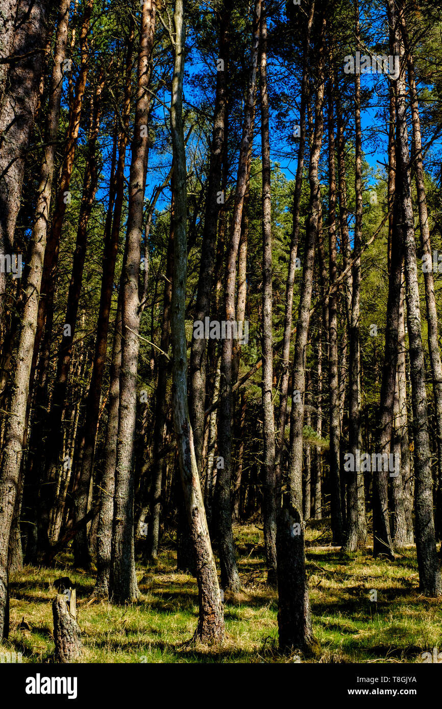 Strathdon aberdeenshire hi-res stock photography and images - Alamy