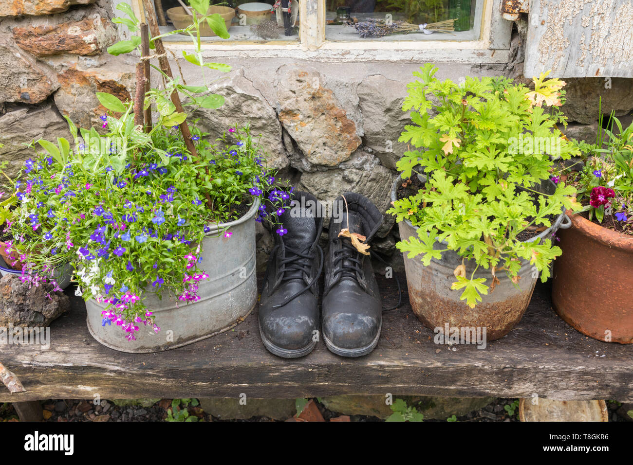 A pair of battered black boots on a shelf inbetween pots containing ...