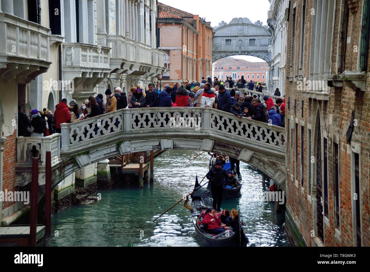 Venice, Italy.The crowd is a very problem for the city of Venice ...
