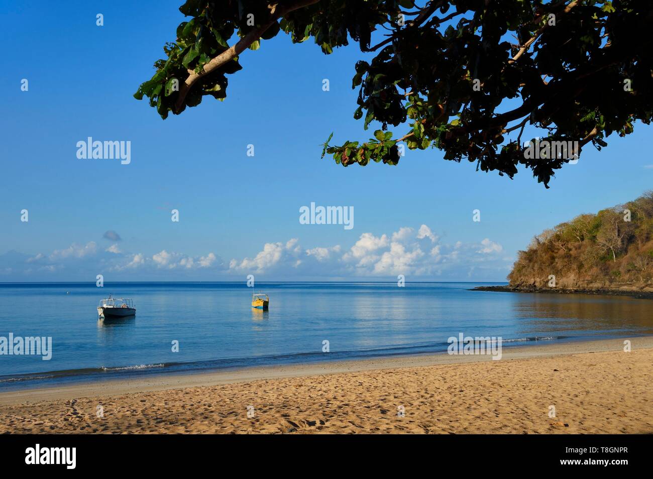 Mayotte beach hi-res stock photography and images - Alamy