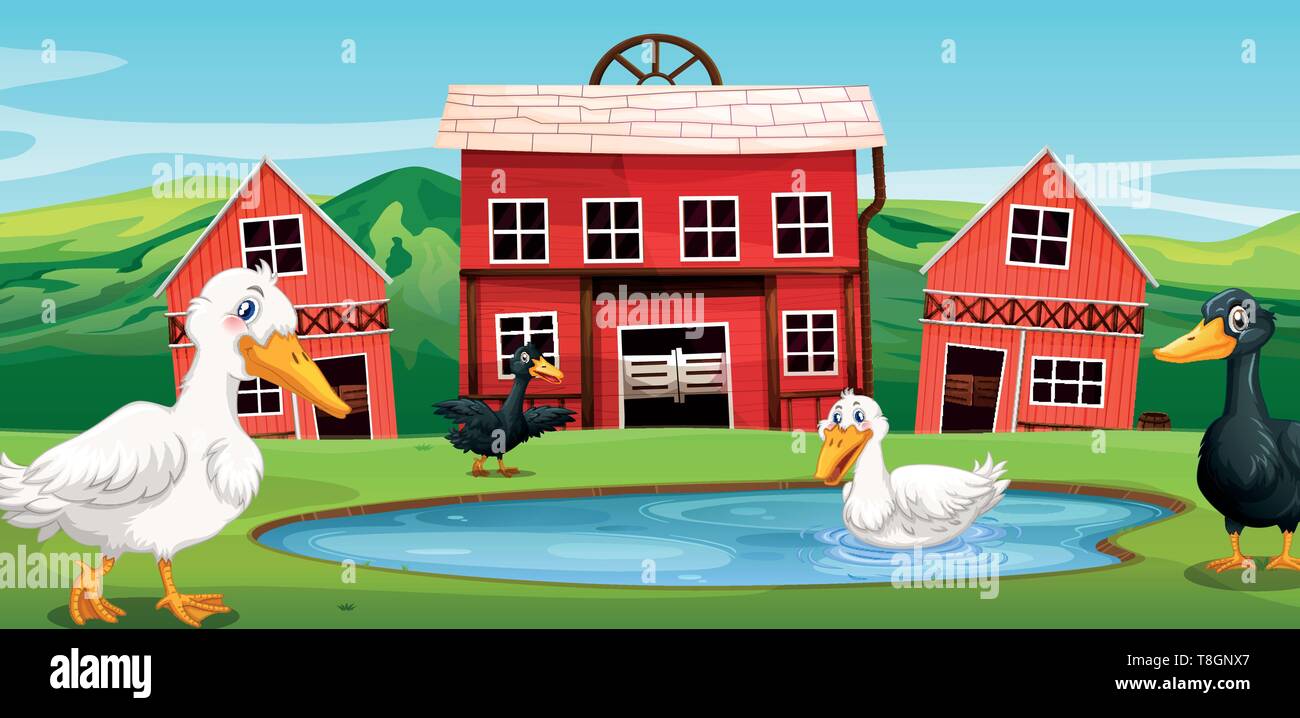 Duck at the farm illustration Stock Vector Image & Art - Alamy