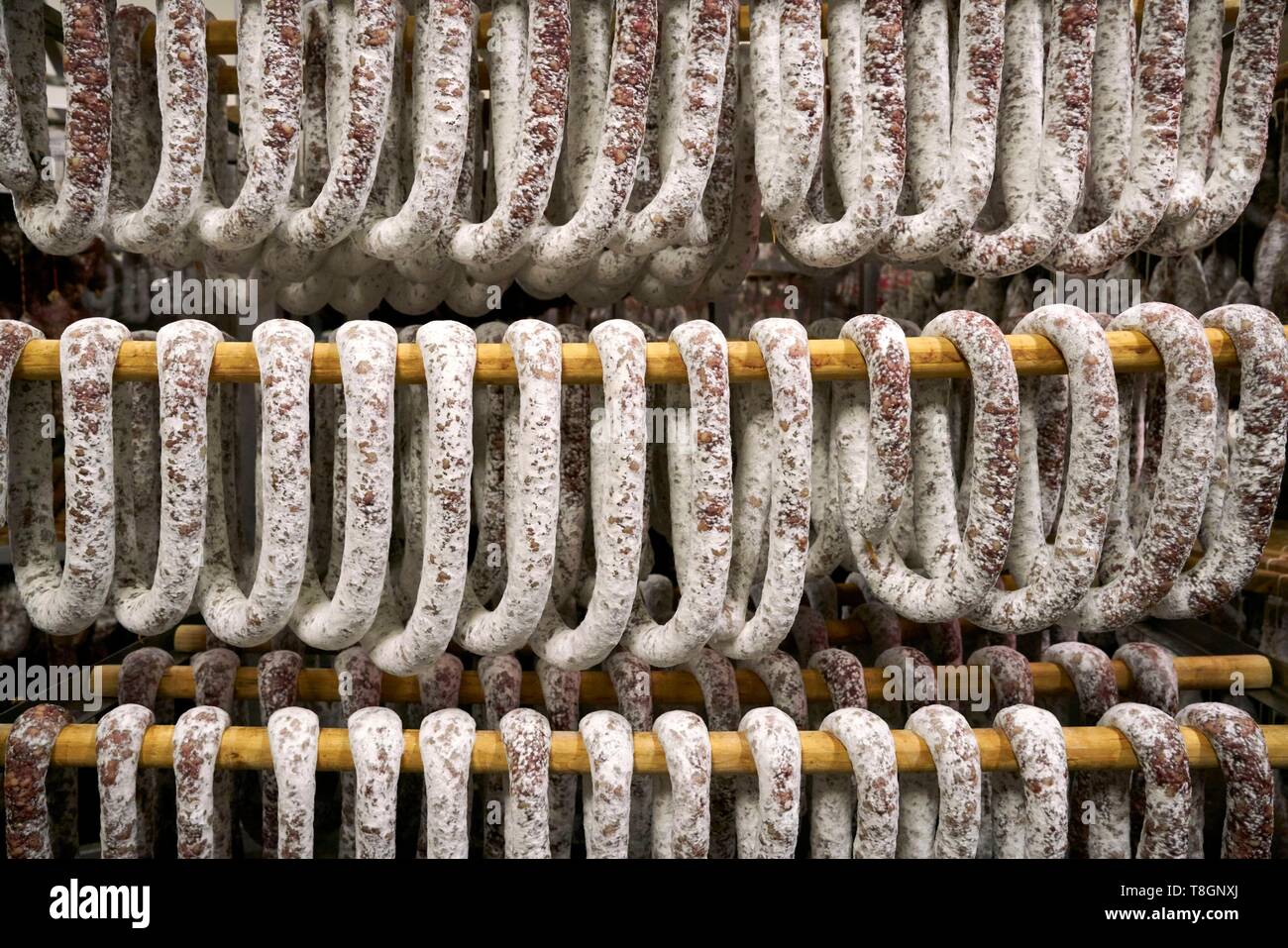 France, Tarn, Lacaune, Oberti company, family owned salting company ...