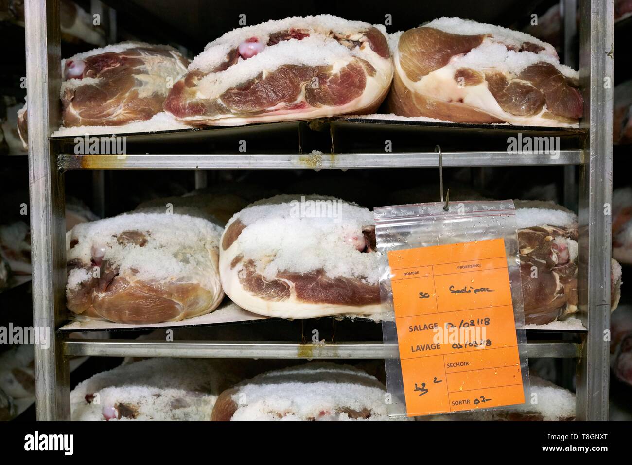 France, Tarn, Lacaune, Oberti company, family owned salting company ...