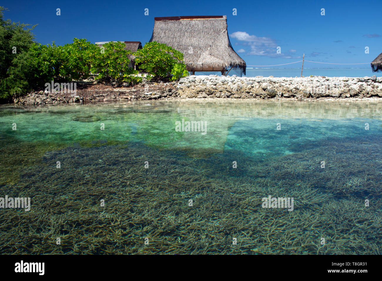 Shallow coral reef, mostly Acropora sp., and typical Micronesian hut in ...