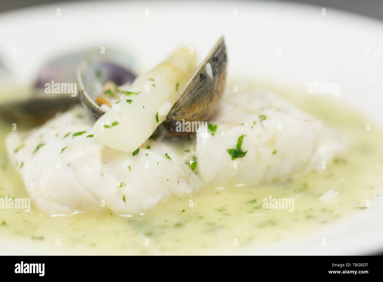 Basque culinary center hi-res stock photography and images - Alamy