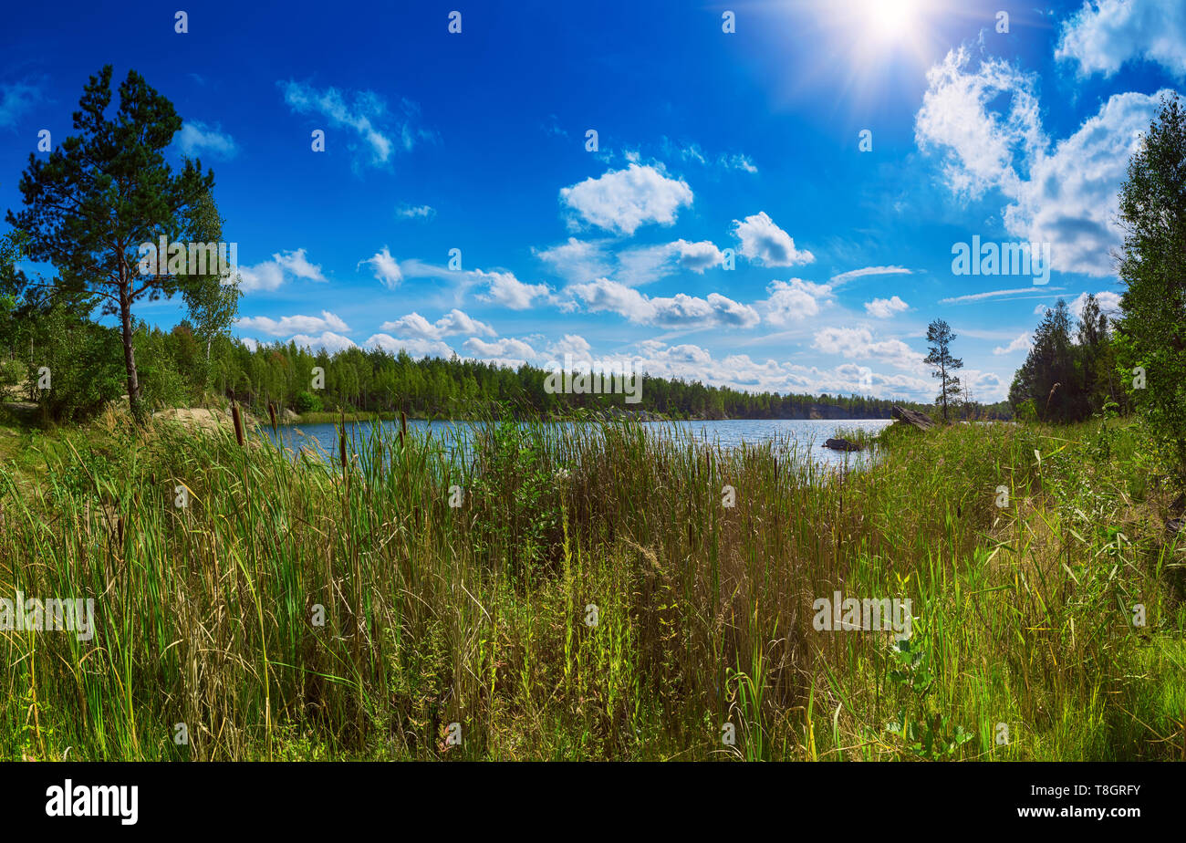 Beautiful summer lake Stock Photo - Alamy