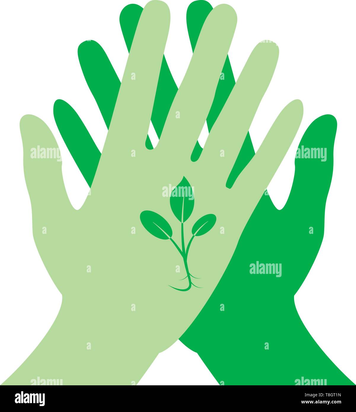 Palms seeds Stock Vector Images - Alamy