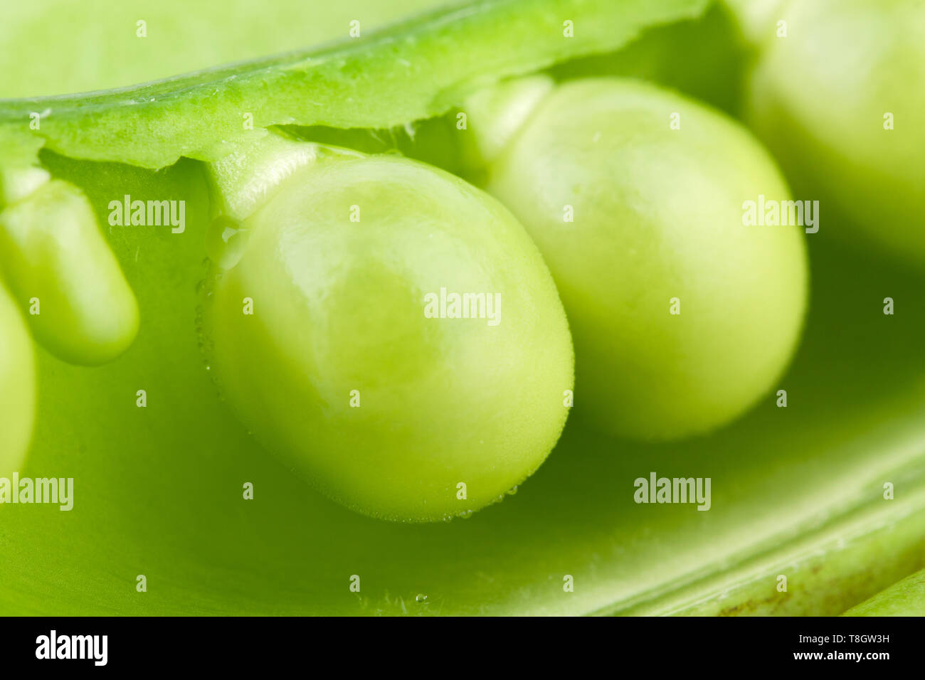 A pea pod hi-res stock photography and images - Alamy