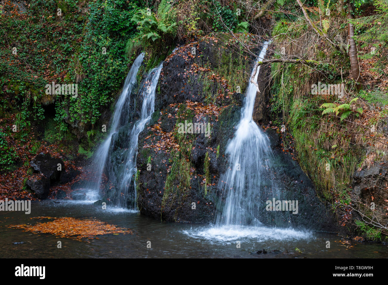 Lower Fairy Glen waterfall near Rosemarkie on Black Isle in Ross and ...