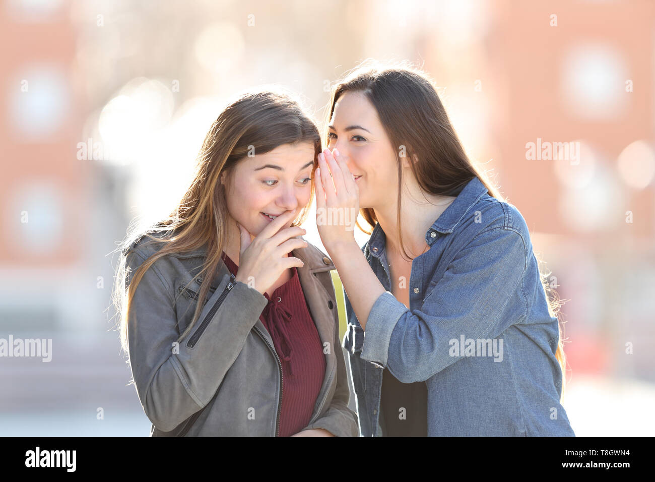 Women Telling A Secret