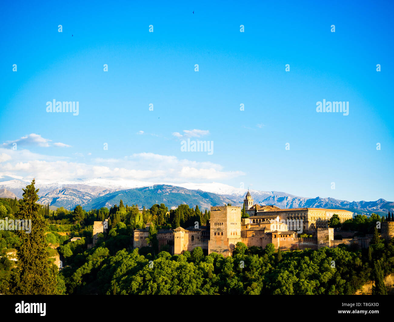 View alhambra sierra nevada the background hi-res stock photography and ...