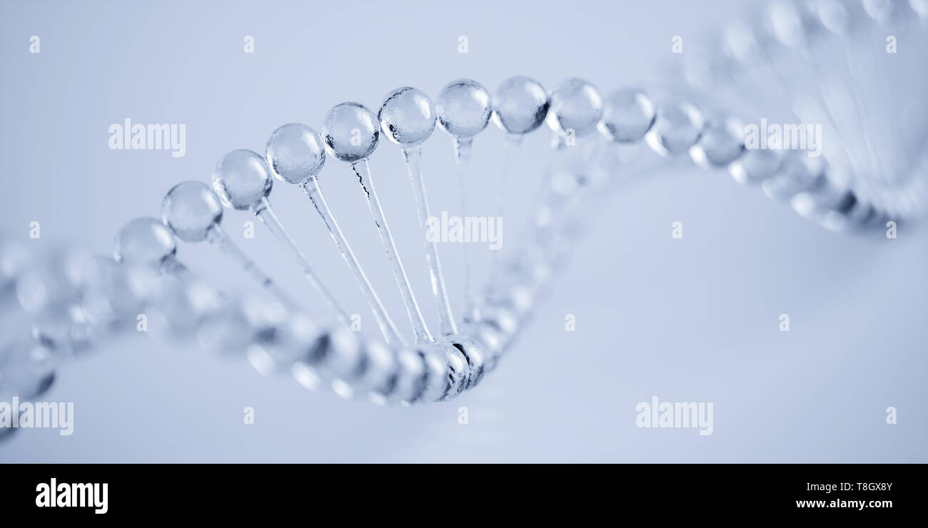 Water DNA. Science background molecules water on gray background. 3D ...