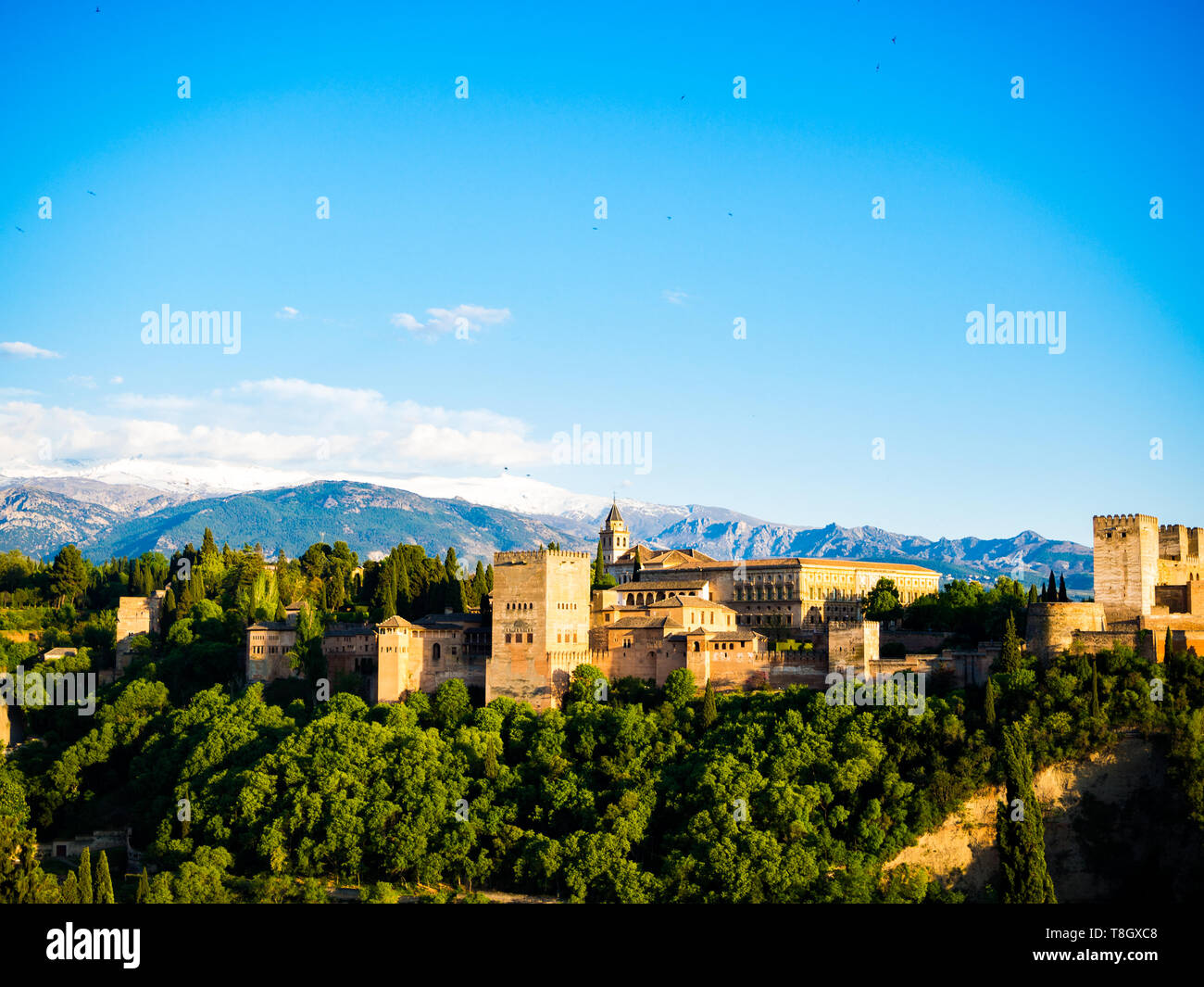 the alhambra of granada with sierra nevada in the background Stock ...
