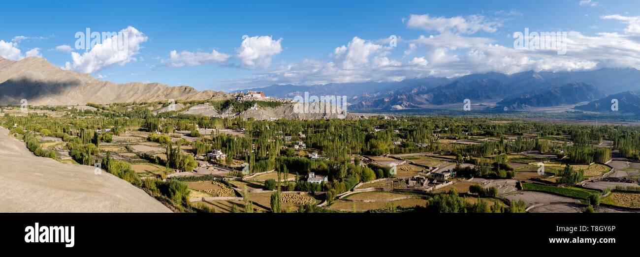 India, state of Jammu and Kashmir, Himalaya, Ladakh, Indus valley, the ...