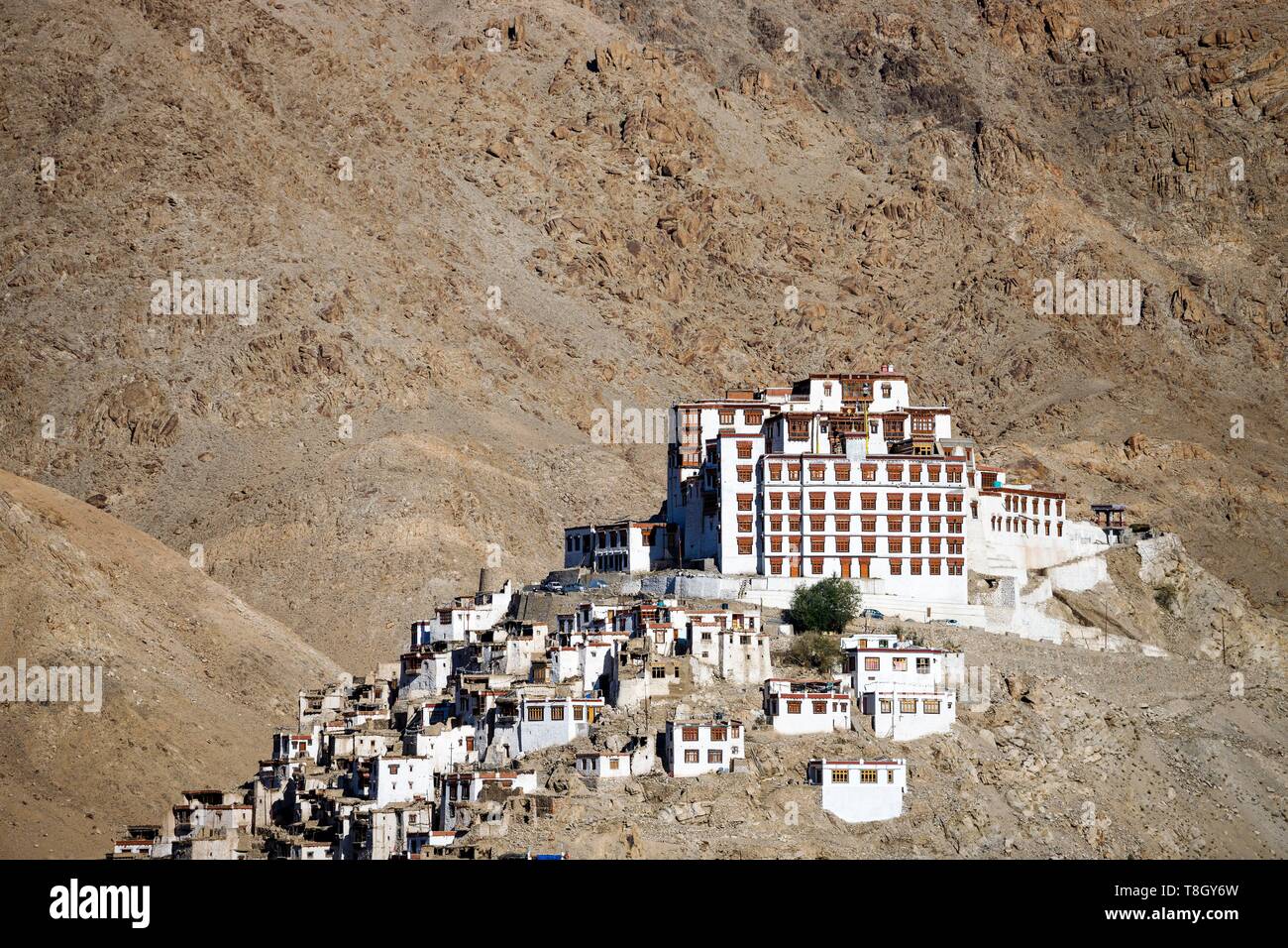 India, state of Jammu and Kashmir, Himalaya, Ladakh, Indus valley ...