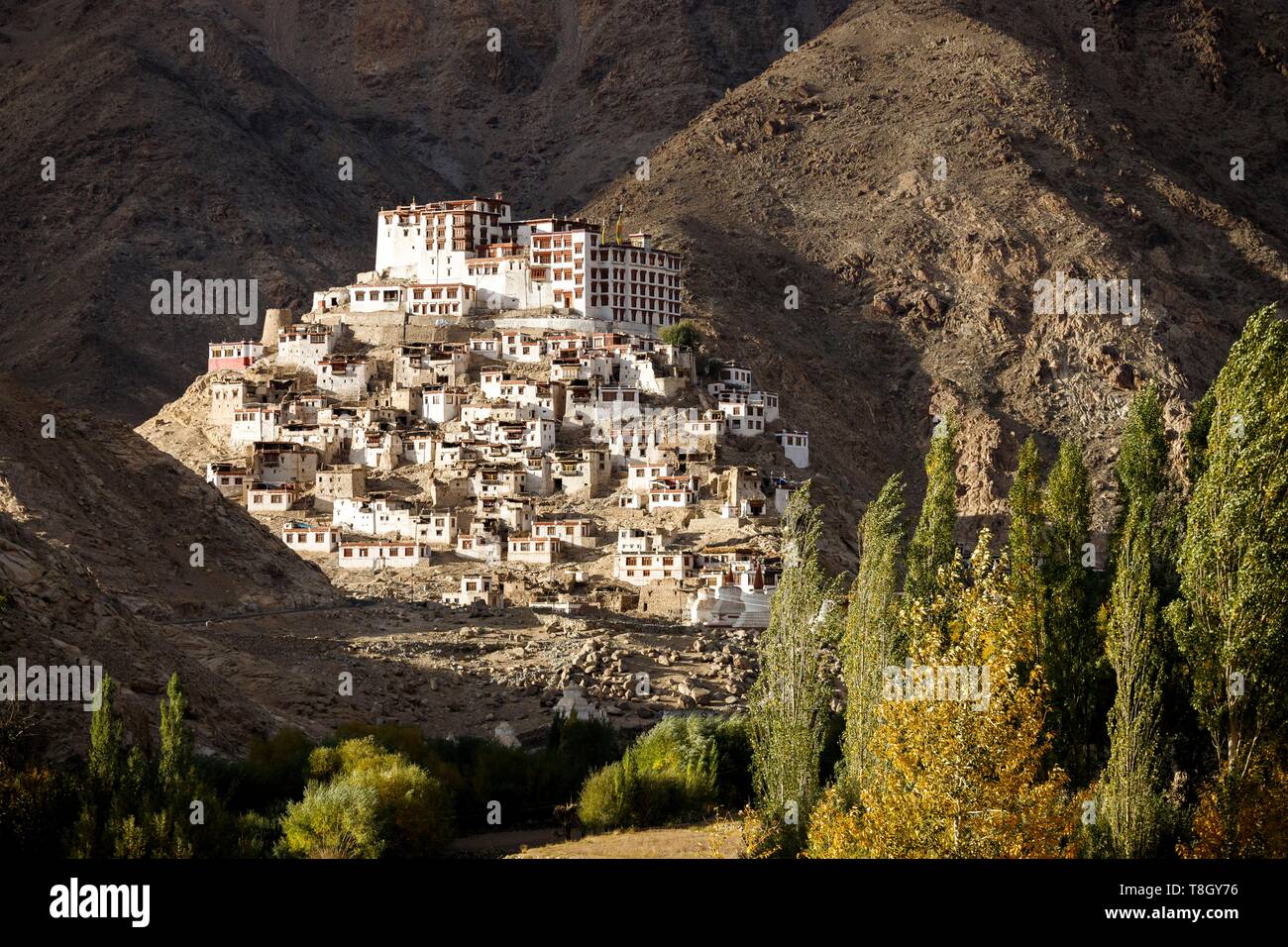 India, state of Jammu and Kashmir, Himalaya, Ladakh, Indus valley ...