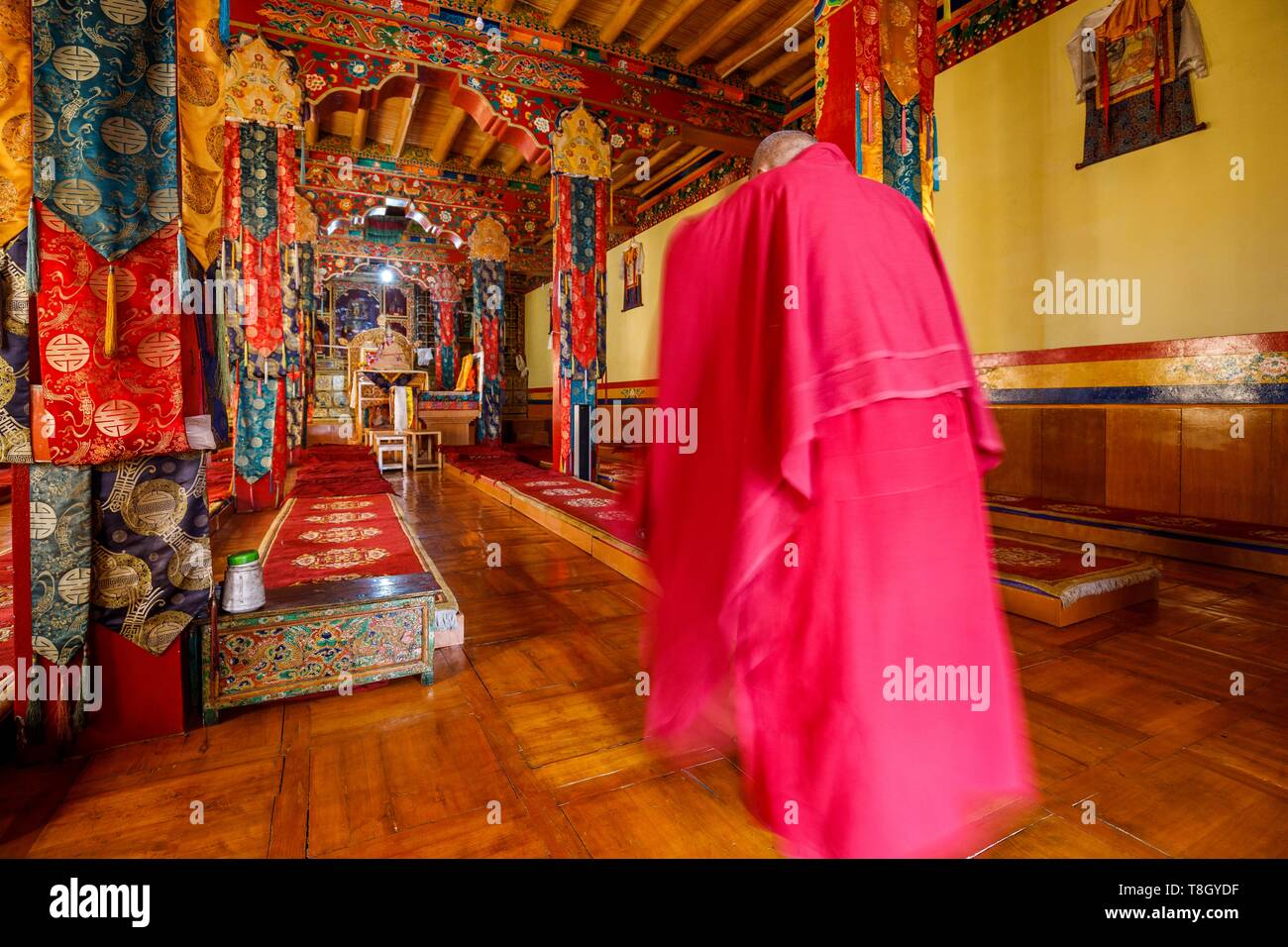 India, state of Jammu and Kashmir, Himalaya, Ladakh, Indus valley, monk ...