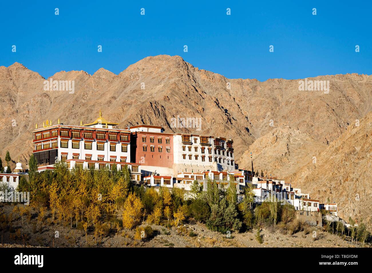 India, state of Jammu and Kashmir, Himalaya, Ladakh, Indus valley ...