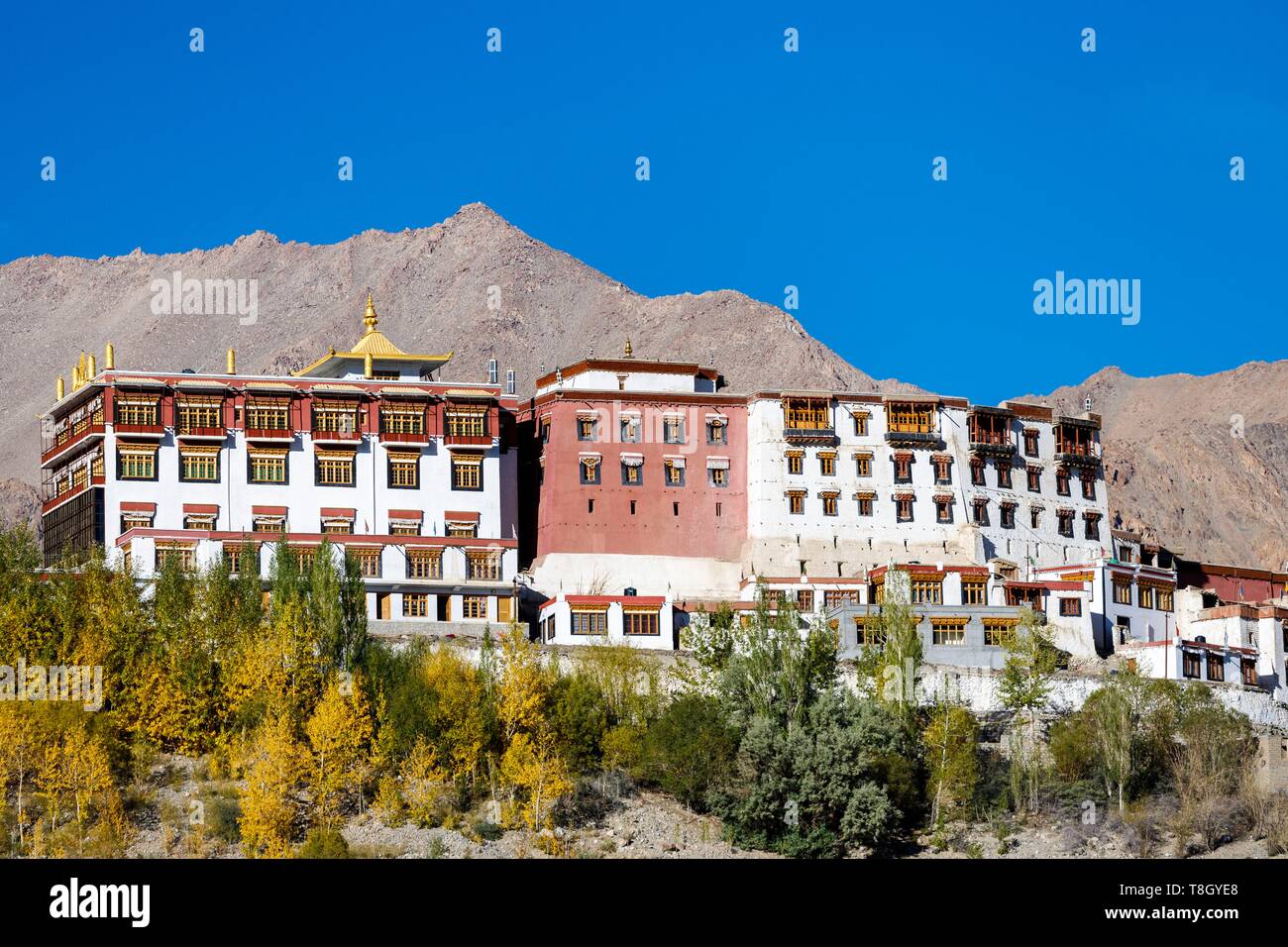 Phyang monastery hi-res stock photography and images - Alamy