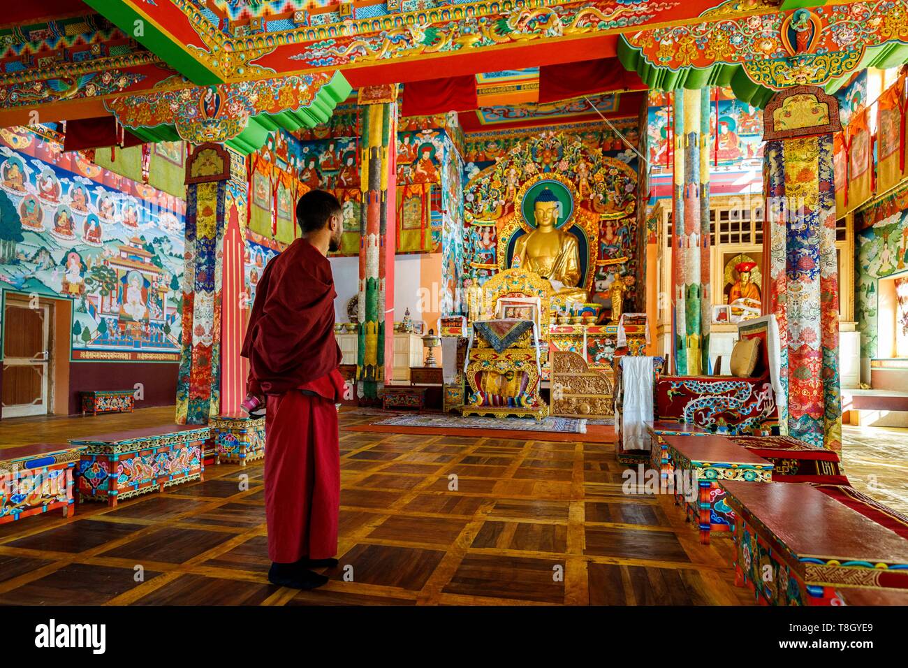 India, state of Jammu and Kashmir, Himalaya, Ladakh, Indus valley ...