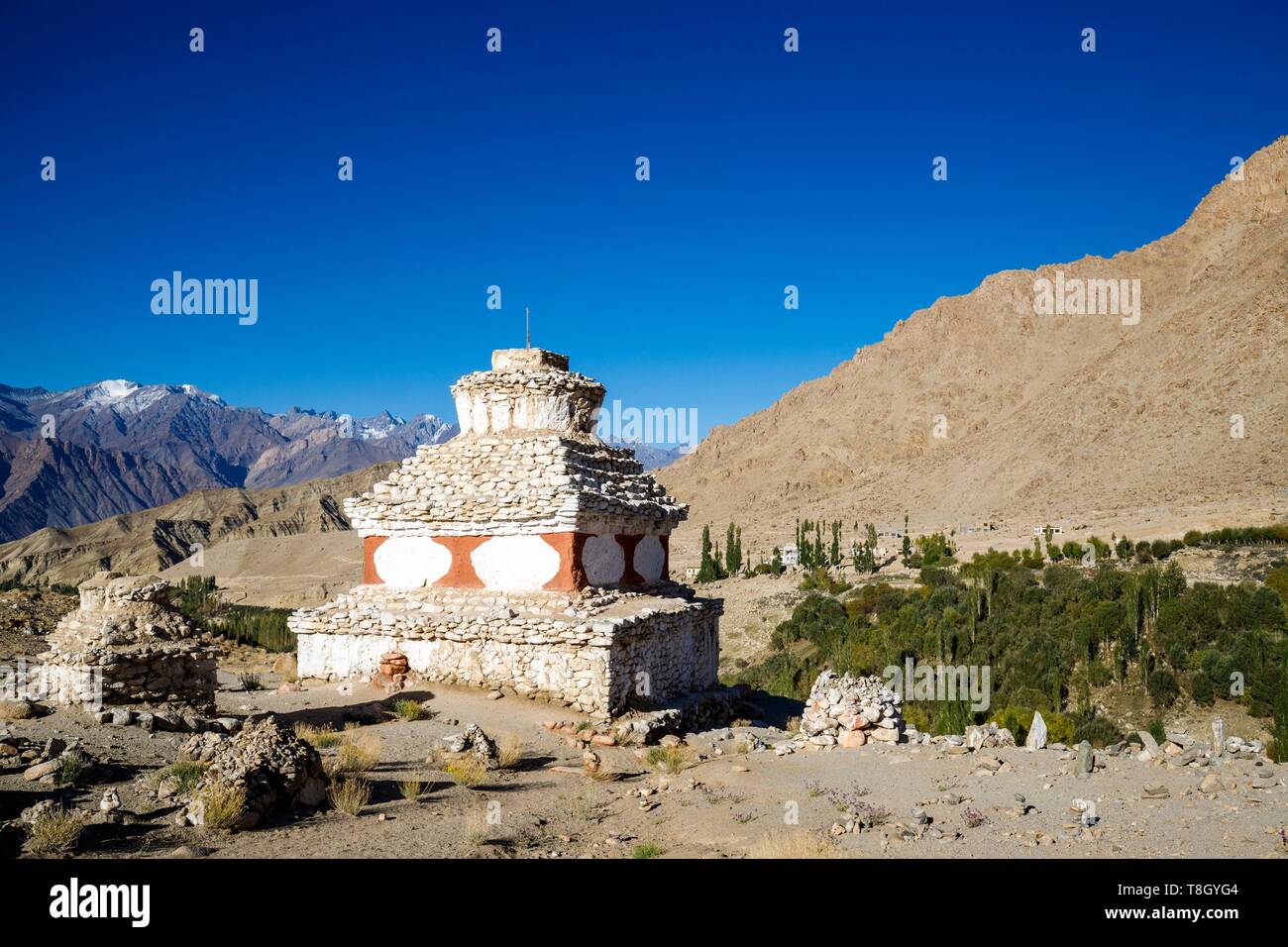 India, state of Jammu and Kashmir, Himalaya, Ladakh, Indus valley ...