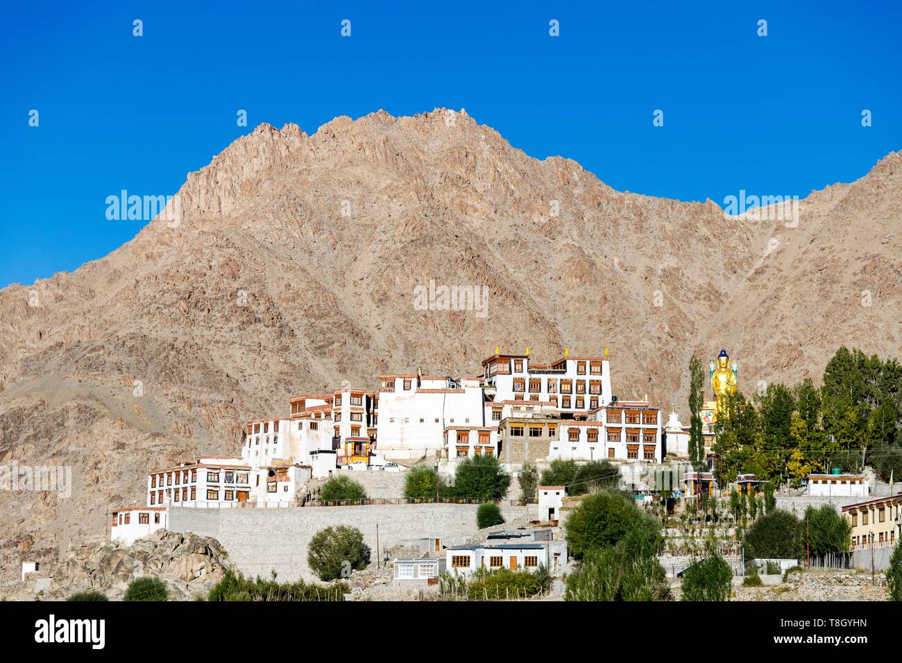 India, state of Jammu and Kashmir, Himalaya, Ladakh, Indus valley ...